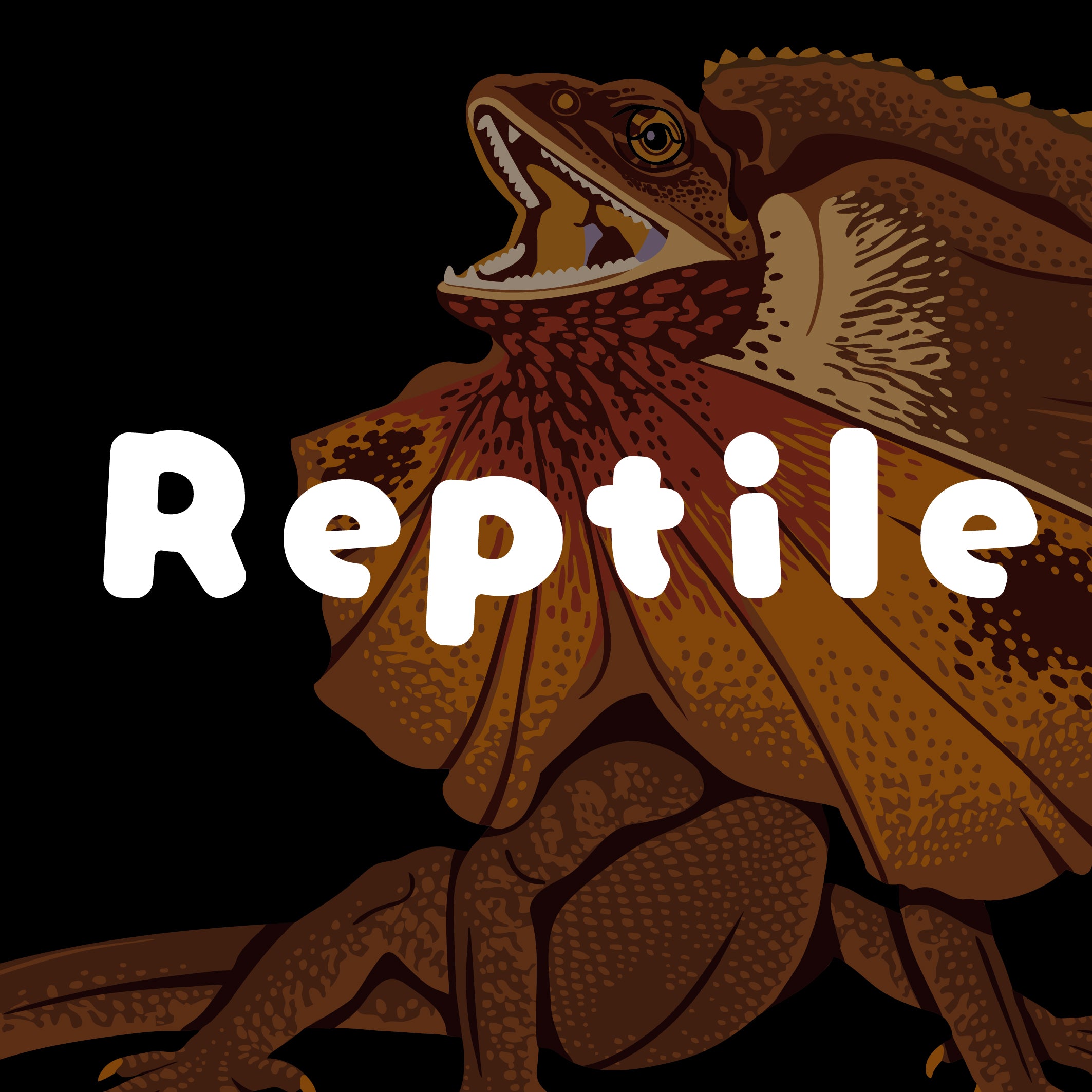 Reptile – Nut Insect Nature Design