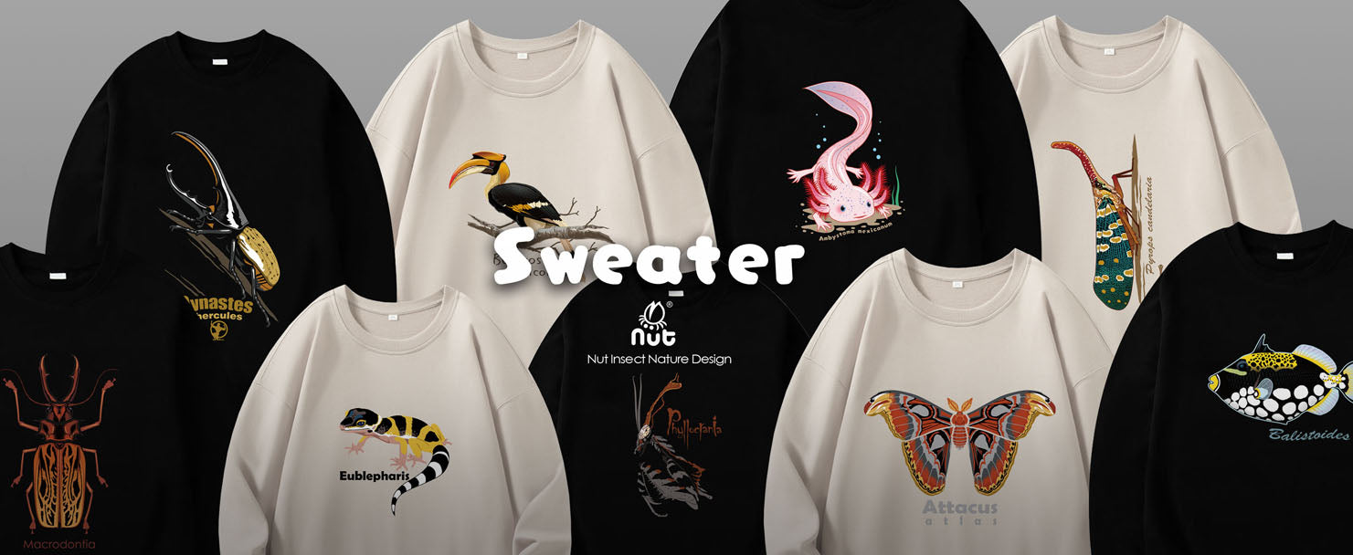Sweater – Nut Insect Nature Design