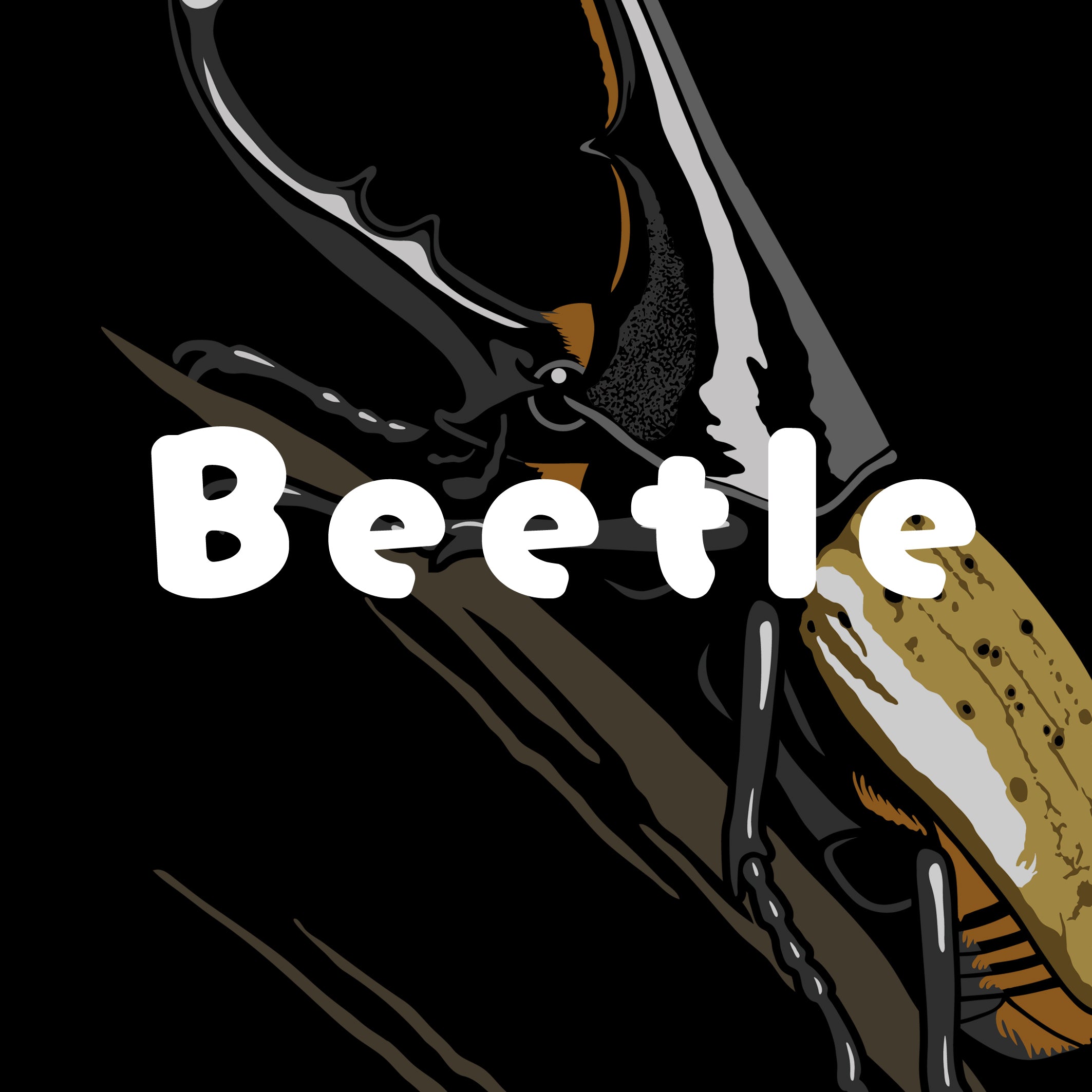 Beetle – Nut Insect Nature Design