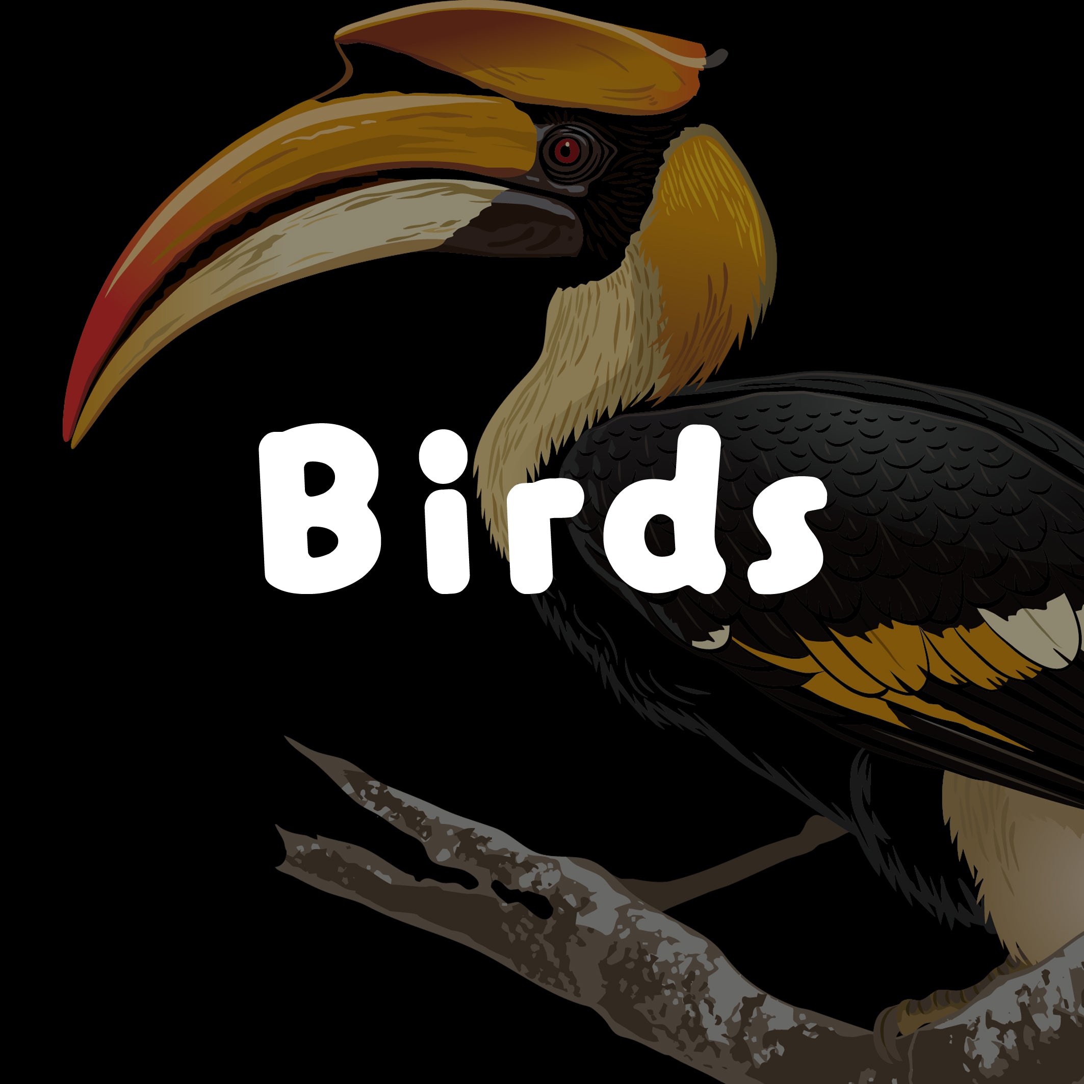 Birds – Nut Insect Nature Design